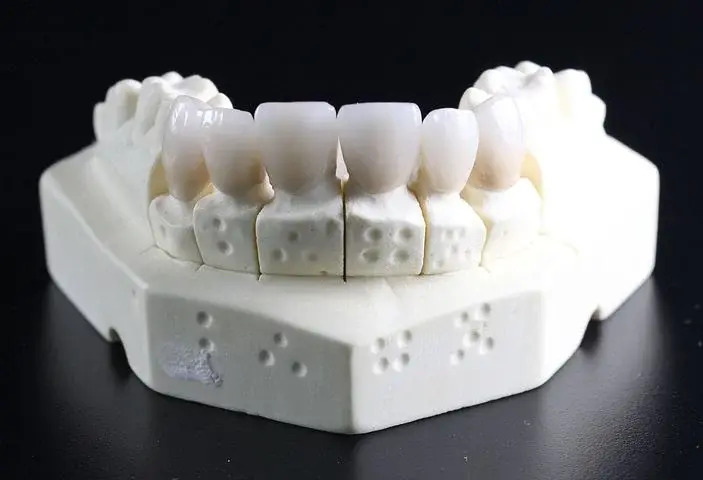 Why Do Our Teeth Have Different Shapes And Positions Inside The Mouth ...